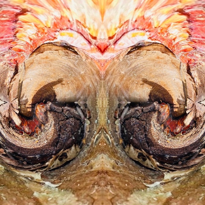 Digitala bilder :: Fafa@Art